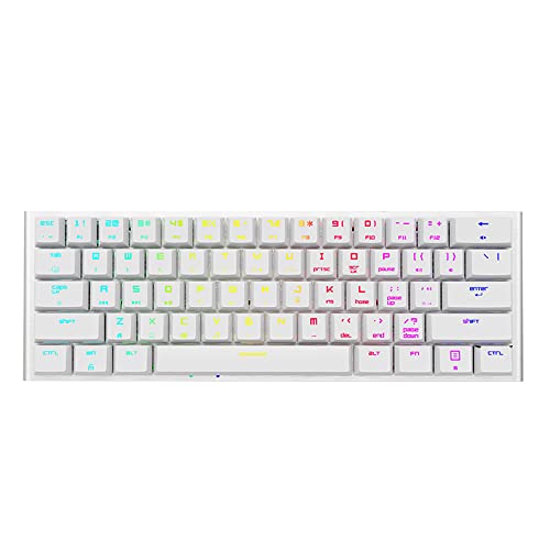 Magic Refiner MK28 60 Percent RGB White Gaming Keyboard, 61 Keys Mechanical Bluetooth/2.4G/USB Wired for Option, Compatible for Windows/iOS/Linux/Andriod PC/Mac Keyboard (Red Switch)