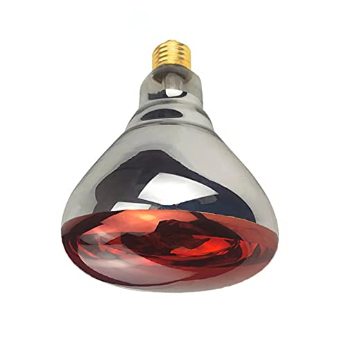 BONGBADA 2 Pack 250W Heat Lamp Red Infrared Bulbs Glass Lamp Bulb for Food Service, Brooder Bulb, Chicks, Pet, Bathroom, Light Therapy Use E26 Base, Flood Light Heat Lamp Bulb.