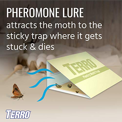 TERRO T2900 2-Pack Pantry Moth Traps - Traps grain moths, flour moths, meal moths, and seed moths