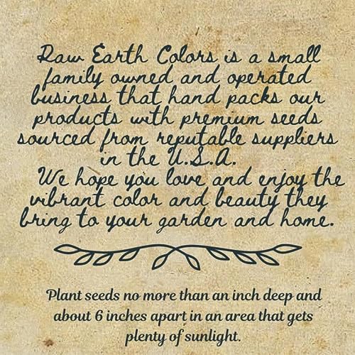 Dwarf Sunflower Seeds for Planting - to Plant and Grow Teddy Bear and Sunspot in Your Flower Garden.