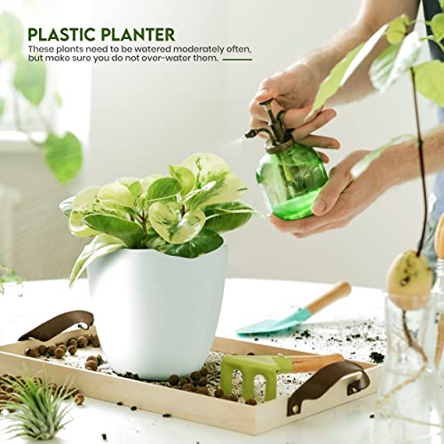 Utopia Home - Plant Pots Indoor with Drainage - 7/6.6/6/5.3/4.8 Inches Decorative Flower Pots for Indoor Planter - Pack of 5, Plastic Planters for Indoor Plants, Flowers, Cactus, Succulents Pot, White