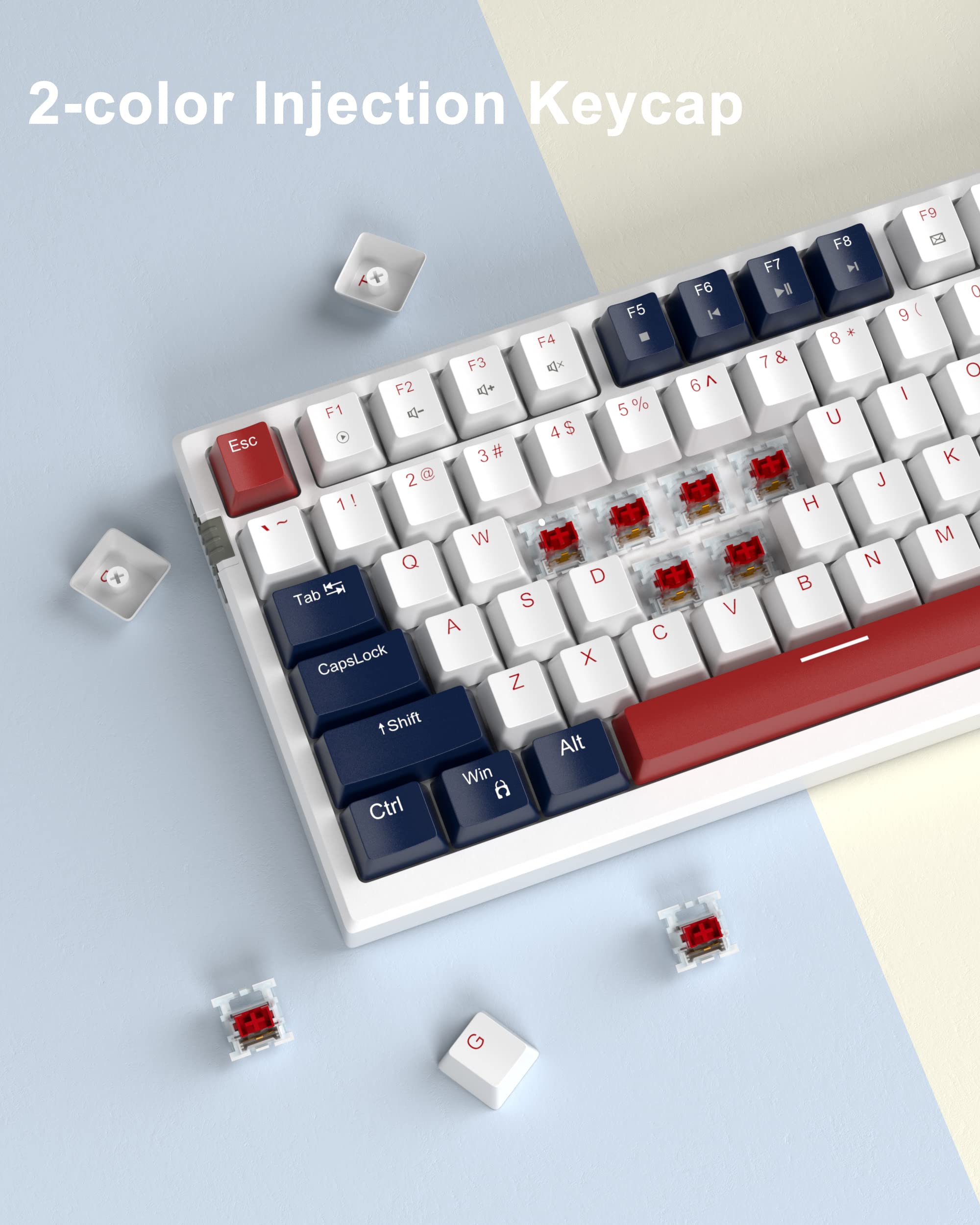 Compact 80% Mechanical Gaming Keyboard,Hot-Swappable Keyboard with 98-Key Design and 114 keycaps Anti-Ghosting Gaming/Office Keyboard with Blue Switches for Windows Mac PC, White & Blue