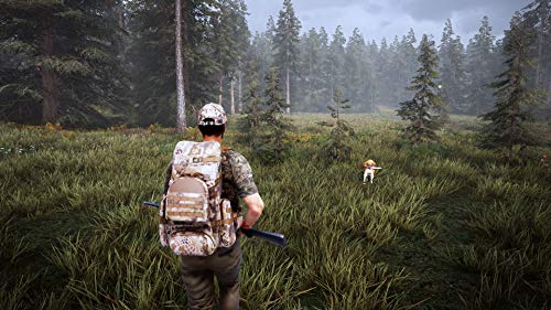 Hunting Simulator 2 - Nintendo Switch (Nintendo Switch)
