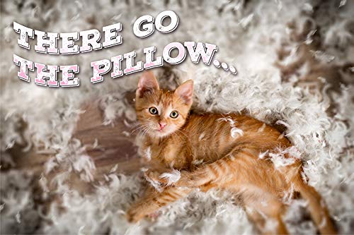 Pet MasterMind Claw Withdraw Cat Scratch Training Spray, Indoor Anti-Scratch - 4oz