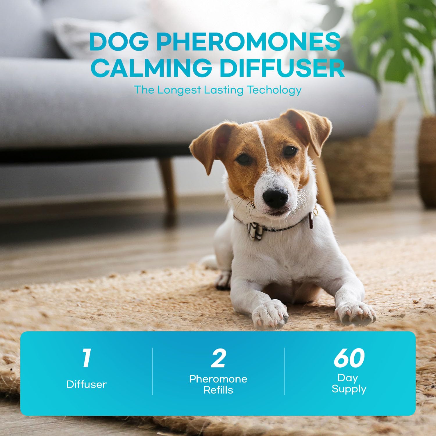 Dog Calming Pheromone Anxiety Diffuser: Dog Calming Pheromones Anti Anxiety Plug Diffuser - Anti Anxiety Calming Pheromone Diffuser for Dogs - Calm Dogs Stress Relief 1 Diffuser & 2 Pheromone Refills
