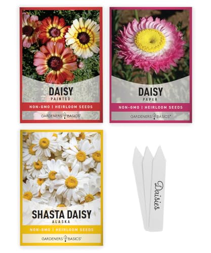 Daisy Seeds for Planting Outdoors Flower Seeds (3 Variety Pack) Alaska Shasta Daisy, Painted Daisy, Yellow Daisy Varieties for Butterflies, Bees, Pollinators Wildflower Seed by Gardeners Basics