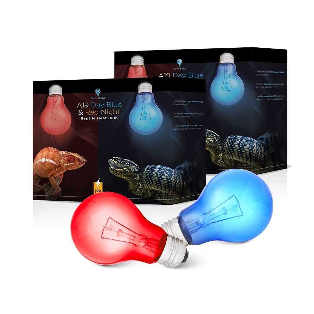 Bluex Bulbs 4 Pack A19 Day Blue & Red Night Reptile Heat Bulb Combo Pack 60W - Terrarium Light & Heat Source Replicates Day Night Environment Promotes Natural Behavior Reptile Day and Night Heat Lamp
