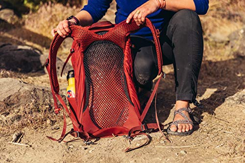 Gregory Mountain Products Arrio 24 Plus Brick Red