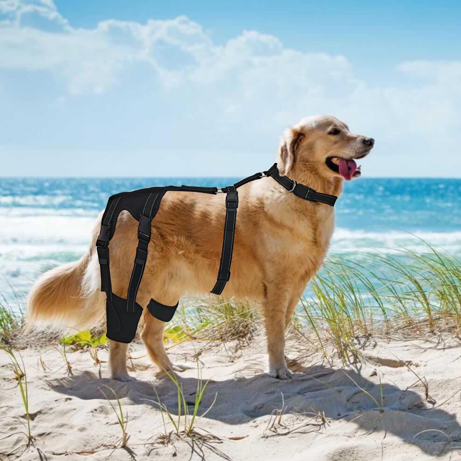 Dog Knee Brace with Side Stabilizers - Support for Dog ACL CCL Cruciate Ligament Injury Joint Pain and Muscle Sore(Size XXL