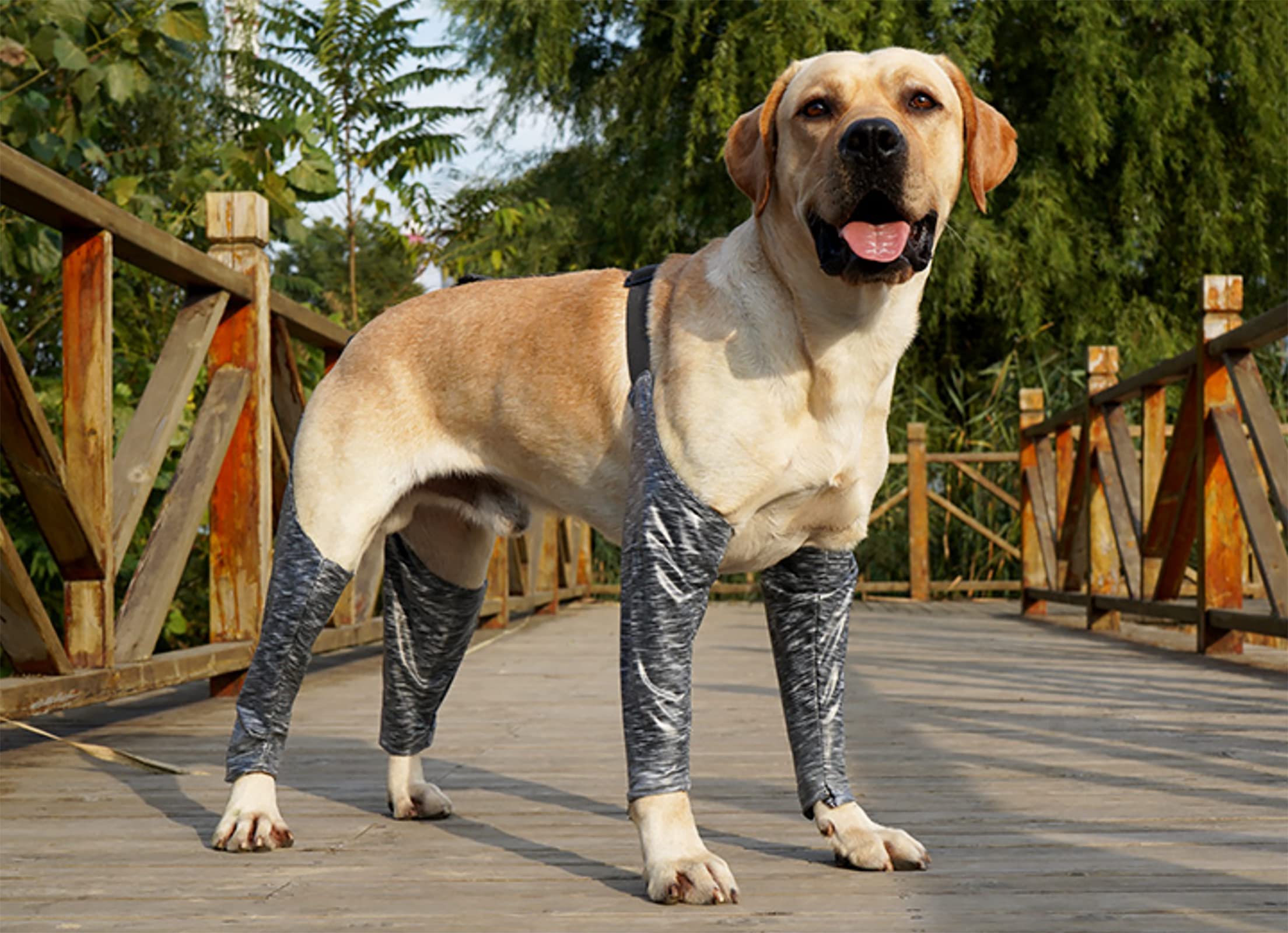 Dog Leggings to Prevent Licking, Pee, Dog Recovery Sleeve, Dog Sleeves for Wounds Front & Back Legs Grey 2X-Large