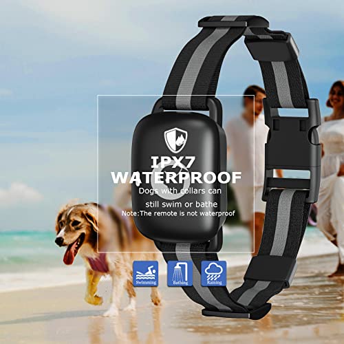 Heaflex Dog Shock Collar with Remote, Dog Training Collar for Small Medium Large Dogs, Electronic Dog Collar Rechargeable with Shock Mode, 3 Safe Training Modes, Range up to 1640ft, for 2 Dogs (Black)
