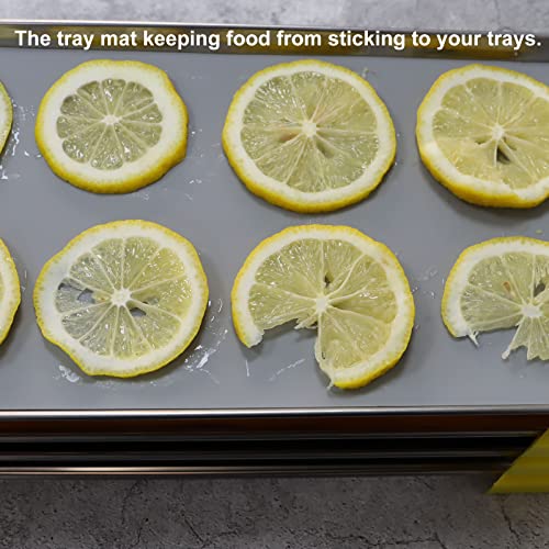 PIAOLGYI Tray Mats for Harvest Right Freeze Dryer Medium Trays,Silicone Accessories Compatible with Harvest Right Freeze Dryer Medium Trays(Green)
