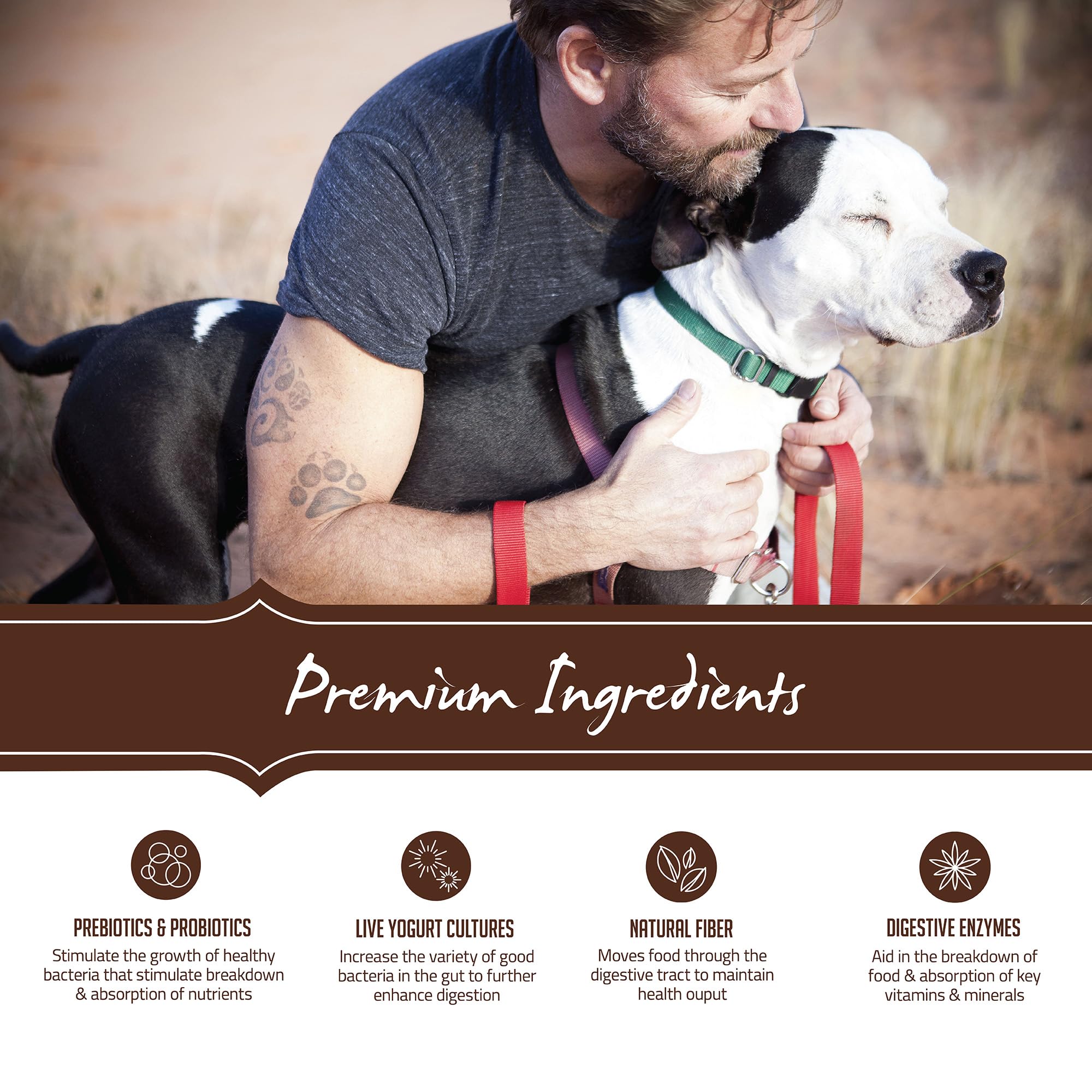 Holistic Select Natural Grain Free Dry Dog Food, Duck Meal Recipe, 4-Pound Bag