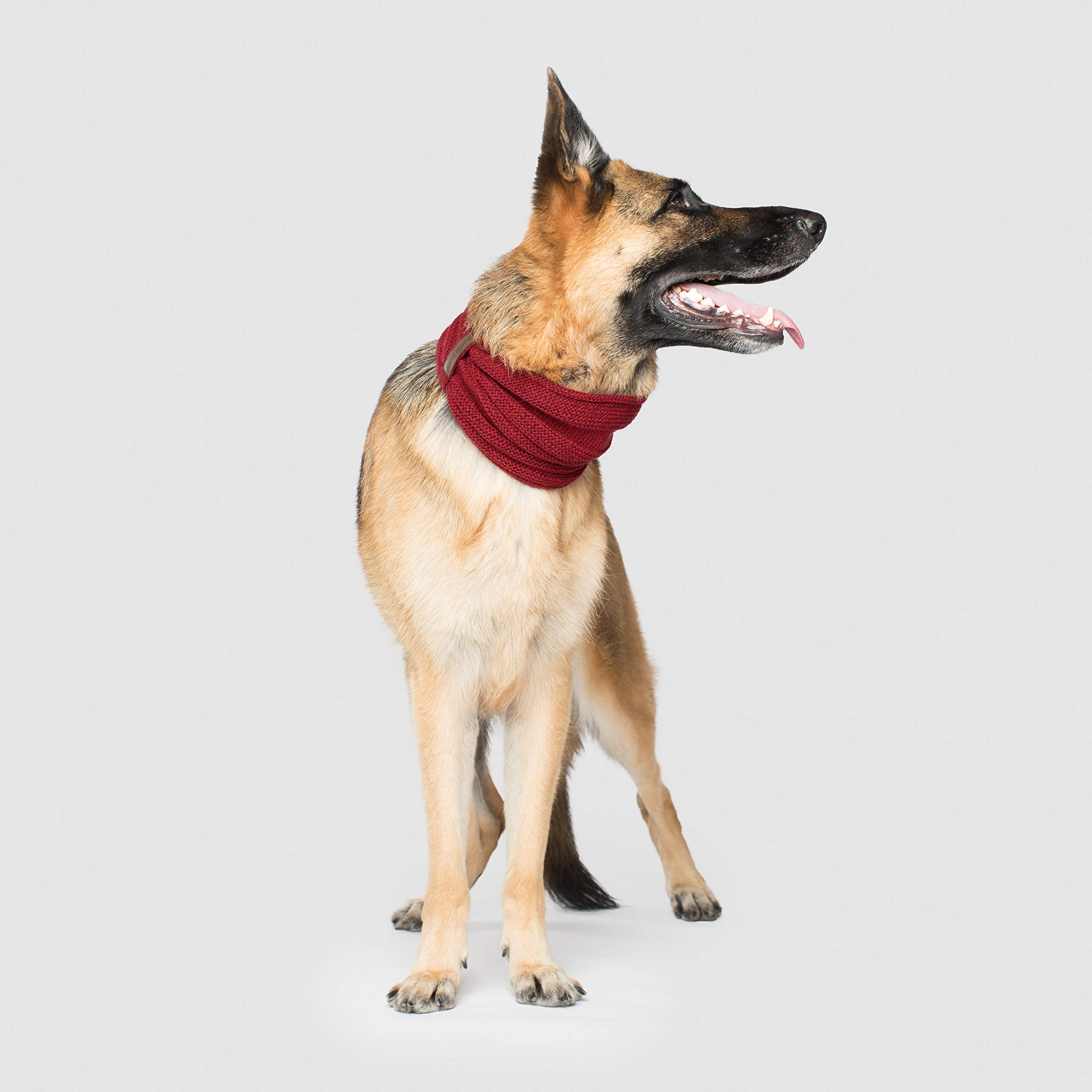 Canada Pooch Sierra Dog Scarf Pullover Knitted Dog Scarf Maroon - Size L, Large