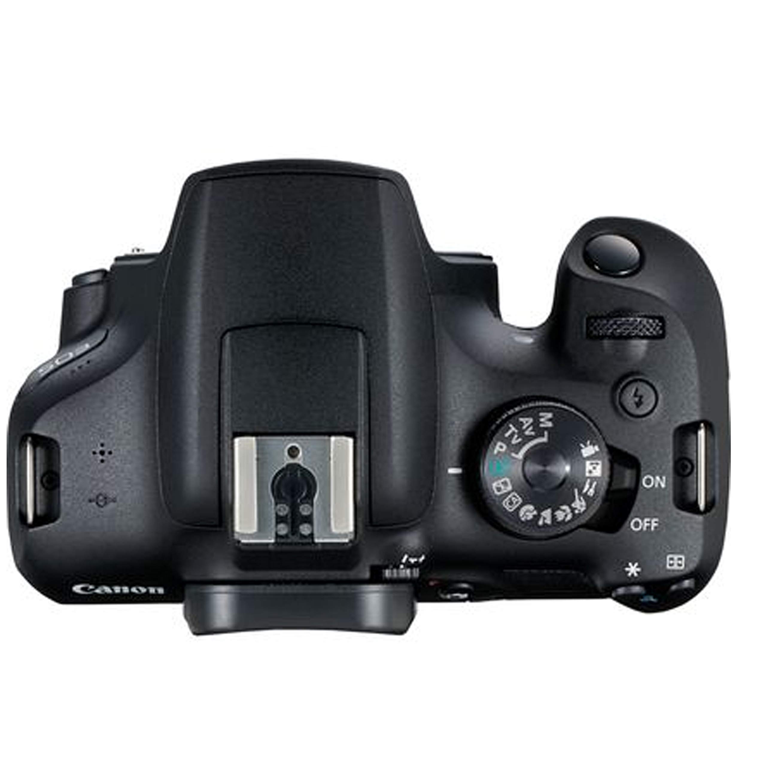 Canon EOS 2000D (Rebel T7) DSLR Camera w/EF-S 18-55mm F/3.5-5.6 Zoom Lens+ 64GB Memory + Flash + Sling Case + Steady Grip Pod + Tripod + Filters + Software + More (34pc Bundle)