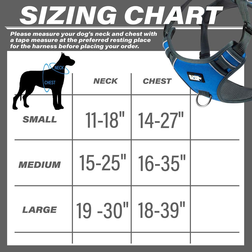 Black Rhino - The Comfort Dog Harness with Mesh Padded Vest for Small - Large Breeds | Adjustable | Reflective | 2 Leash Attachments on Chest & Back - Neoprene Padded Training Handle (Large, Aqua/Gr)