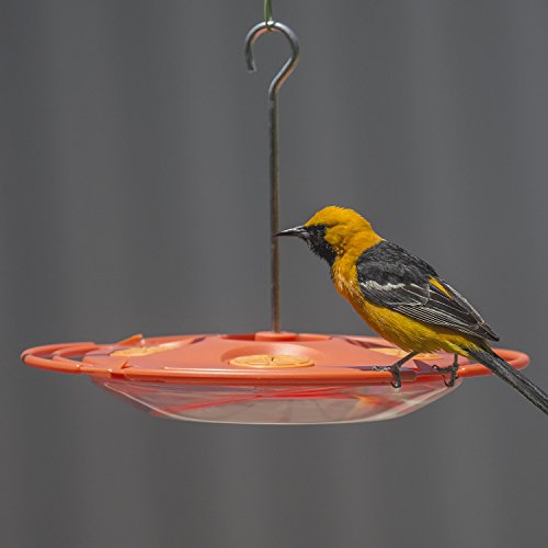 Perky-Pet Plastic 16-Ounce Oriole Feeder- 467-3