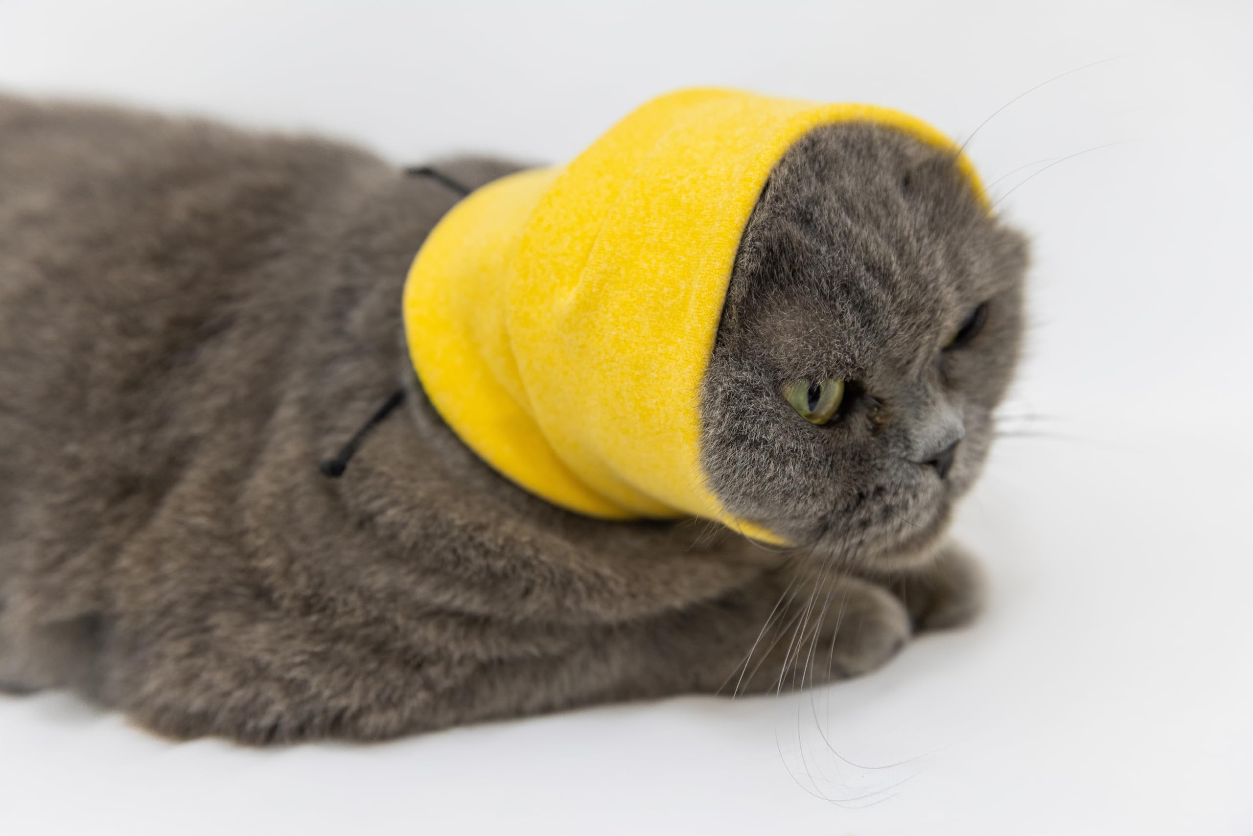 DDFS Cat Hematoma Ear Wrap,Cat No Flap Ear Wrap Anxiety & Stress Relief - No Flap Ear Wrap for Cats Yellow S