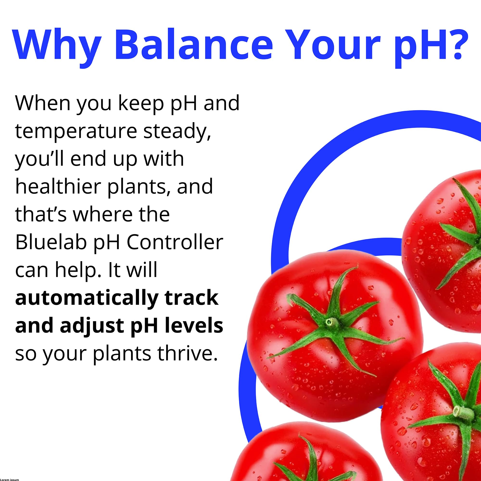 Bluelab CONTPH pH Controller with Monitoring and Dosing in Water Digital Meter for Hydroponic System and Indoor Plant Grow with Easy Calibration, 1, White