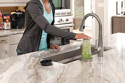 Delta Faucet Glass Rinser for Kitchen Sinks, Kitchen Sink Accessories, Bar Glass Rinser, SpotShield Stainless GR150-SP