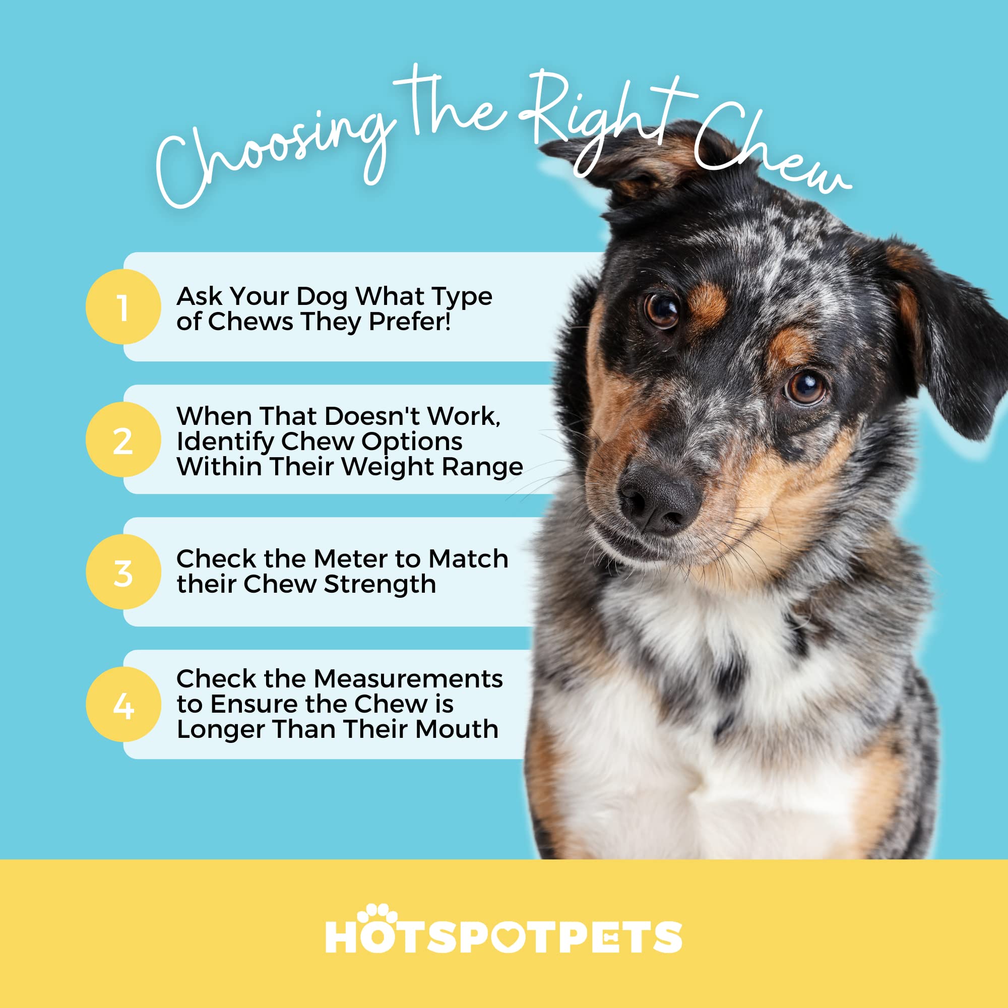 hotspot pets Premium Beef Trachea for Dogs 6" Strips Split -(20 Pack) All Natural Grass-Fed Beef Dog Chews, Rich in Glucosamine Chondroitin for Joint Health, Single Ingredient No Rawhide Dog Treats