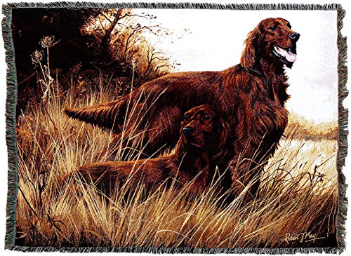 Pure Country Weavers Irish Setter Blanket by Robert May - Gift for Dog Lovers - Tapestry Throw Woven from Cotton - Made in The USA (72x54)