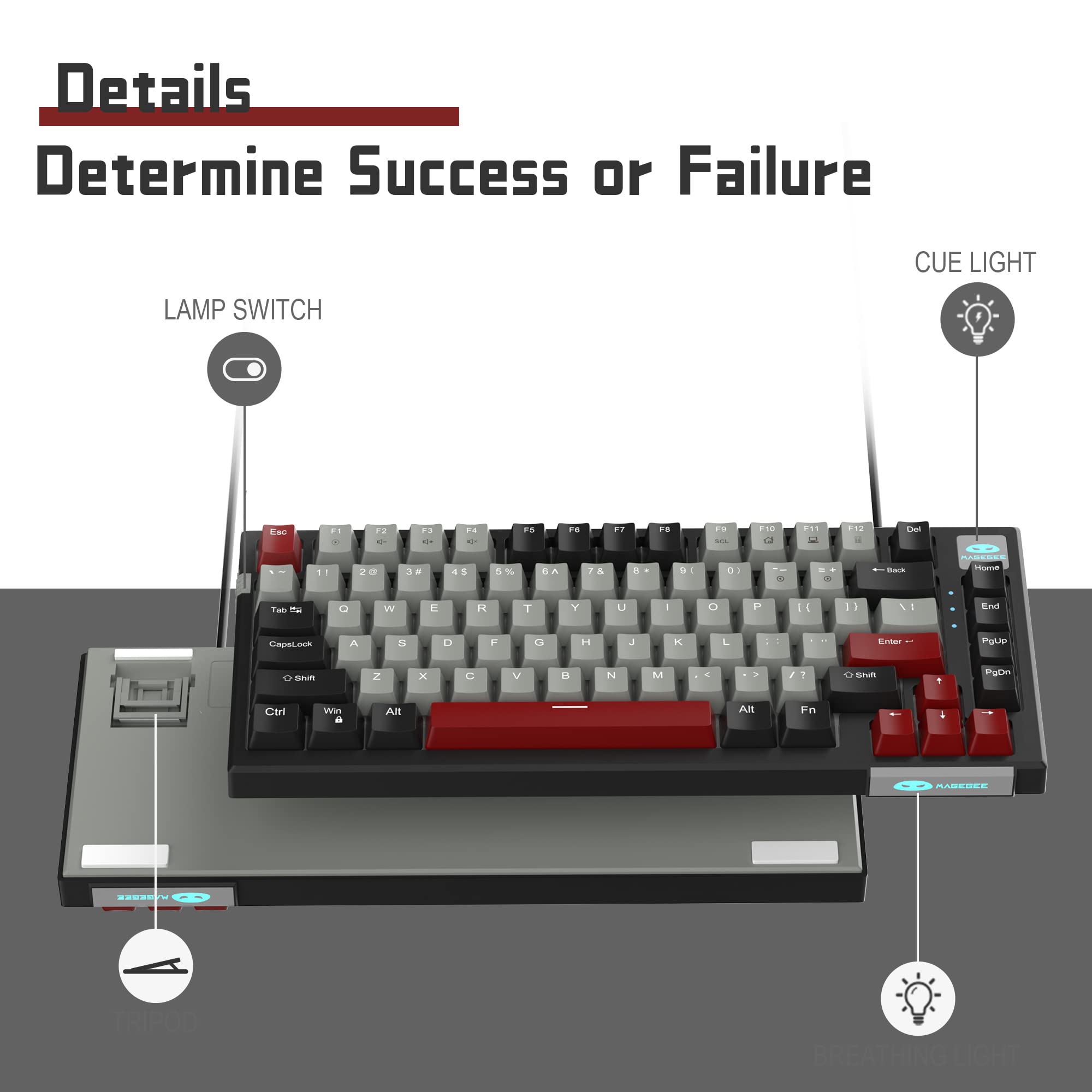 DANSHER Percent 60% Mechanical Gaming Keyboard,81Keys Wired Mechanical Keyboard LED Backlit Compact Office Keyboard with Blue Switch for Windows Laptop PC Mac Xbox