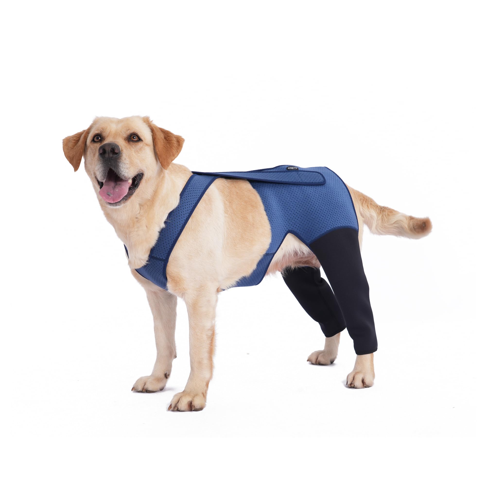 Dog Hind Leg Recovery Sleeve Dog Recovery Suit as Cone Collar Alternative, 2.5mm Thick and Waterproof, Prevent Pet Wounds Licking, Biting (XLarge)