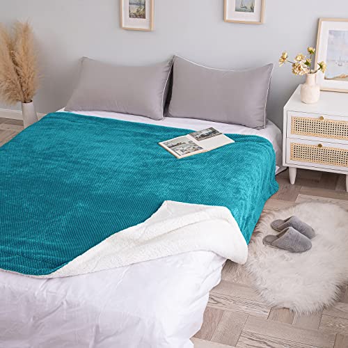 MIULEE Sherpa Fleece Blanket - Fuzzy, Super Soft Throw Blankets for Couch - Thick Fluffy Warm Blankets Perfect for Bed, Sofa, Adults - Cozy Plush Winter Plush Throws(Teal, 50" x 60")