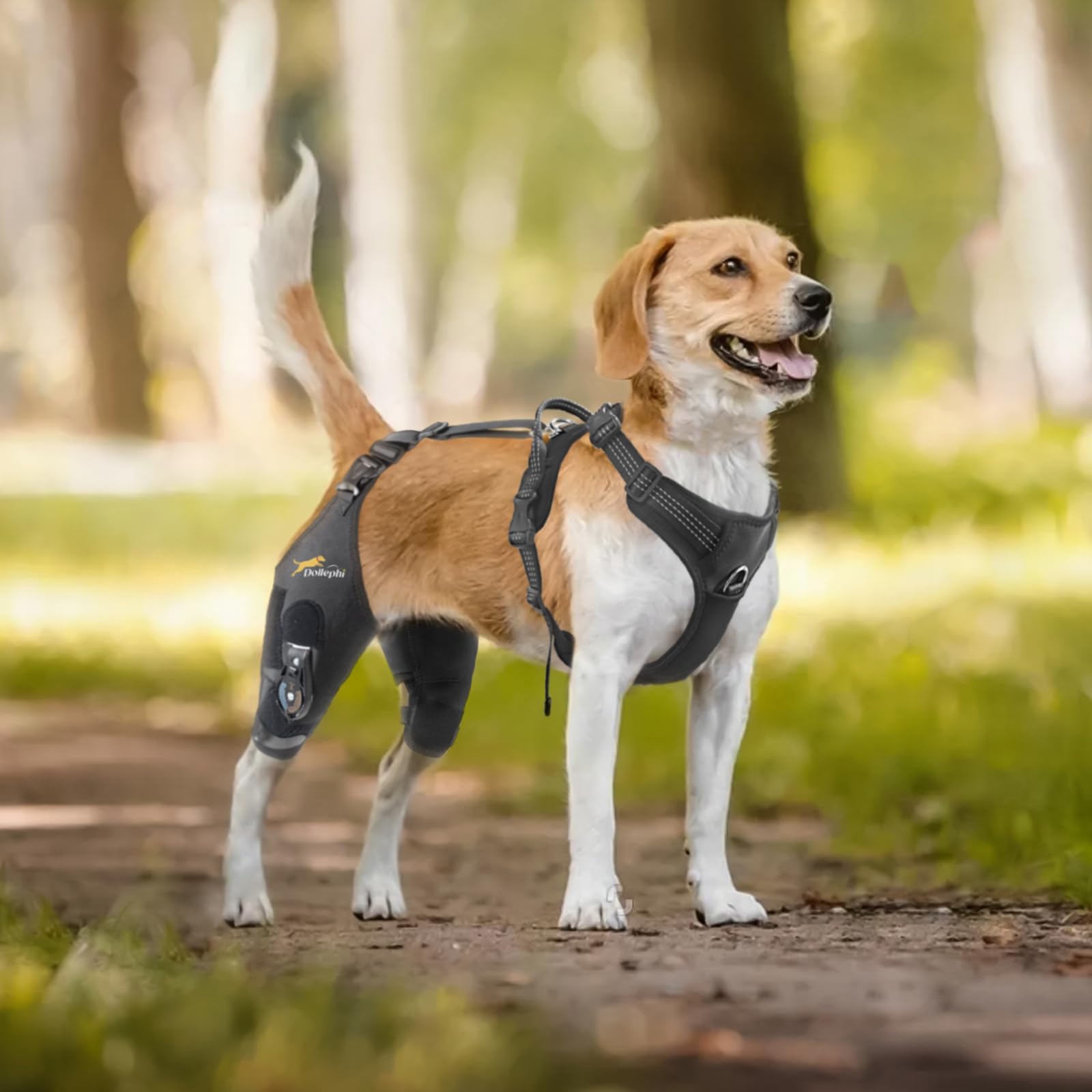 Dollephi Dog Knee Brace for torn acl hind leg with Adjustable Hinge Stabilizer, Dog leg brace Support for Cruciate Ligament Injury, Dog back brace for Osteoarthritis, Recovery After Surgery,et(L)