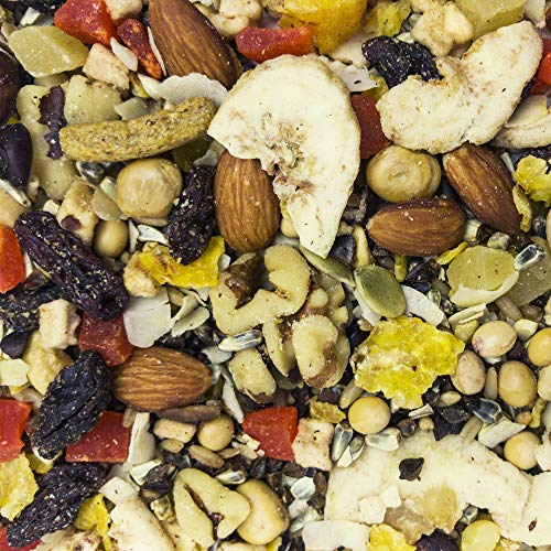 Higgins 3 Pack of Sunburst Gourmet Natural Bird Treats, 5 Ounces Each, Fruits to Nuts Flavor, for Conures Parrots and Macaws