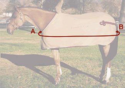 Turnout 1680D Horse Winter Waterproof with Neck Cover - Horse Blanket 002 - Size from 69" to 83" (78")