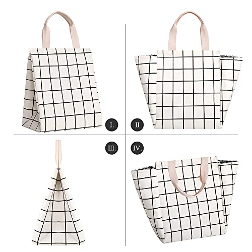 HOMESPON Reusable Lunch Bag Insulated Lunch Box Canvas Fabric with Aluminum Foil, Lunch Tote Handbag for Women,Men,Office (White Plaid)