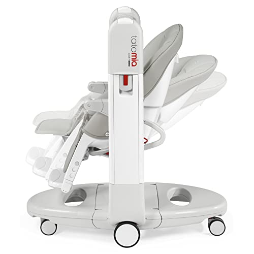 Peg Perego Tatamia 3 in 1-Recliner-Swing and High Chair, Ice