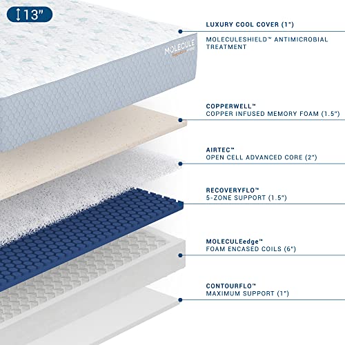 Molecule CopperWELL 13" Hybrid Cooling Gel Memory Foam and Encased Coil Medium Firm Mattress, Queen