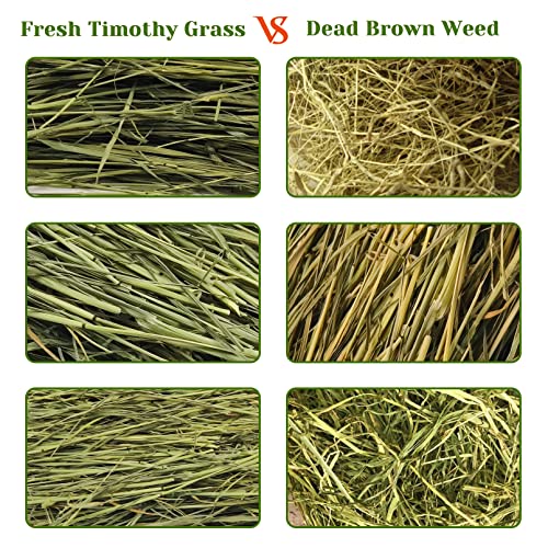 Hamiledyi Natural Timothy Hay Rabbit Hay Feed Guinea Pig Premium Grass Hay Small Animal Pets Hay Food for Bunny Chinchillas Chipmunkas (2.2Ib