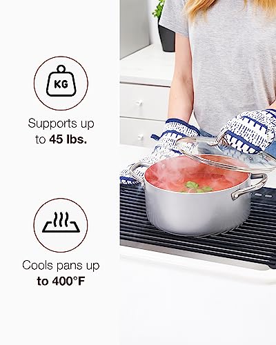 Large Dish Drying Rack for Kitchen Sink - Over Sink Dish Drying Rack to Dry Dishes & Drain Items - Modern & Stylish Dish Rack Set with Extra Side Tray - Space-Saving Roll-Up Counter Drainboard - Black