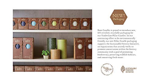 Root Candles Unscented Timberline Pillar Candle , 3 x 9-Inches, Buttercream