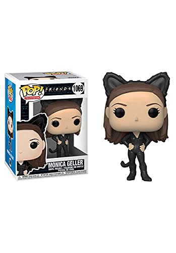 POP TV: Friends - Monica as Catwoman, Multicolor, Standard