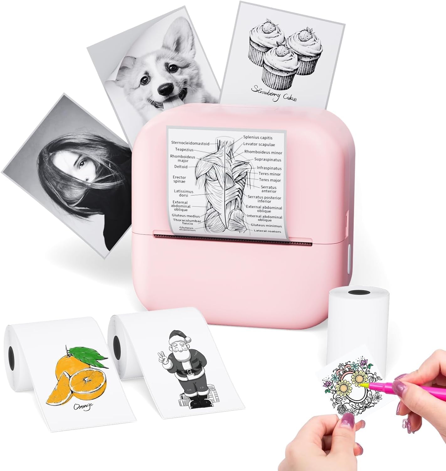 Crmanedy Portable Inkless Sticker Maker,Bluetooth Sticker Maker with 8 Rolls Paper,Compatible with iOS&Android,for DIY Making, Study Notes, memos, Lists, Work Plans, Graduation Gifts (Pink)