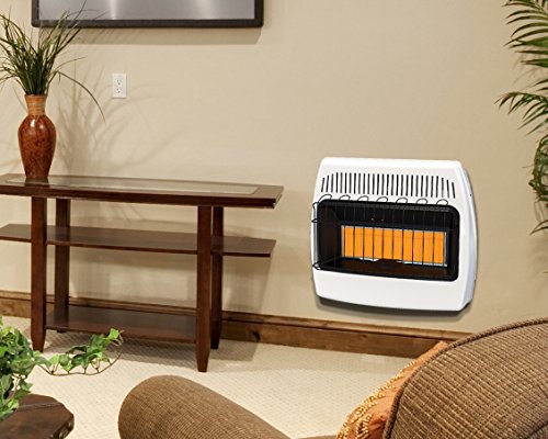 Dyna-Glo IR30NMDG-1 30,000 BTU Natural Gas Infrared Wall Heater