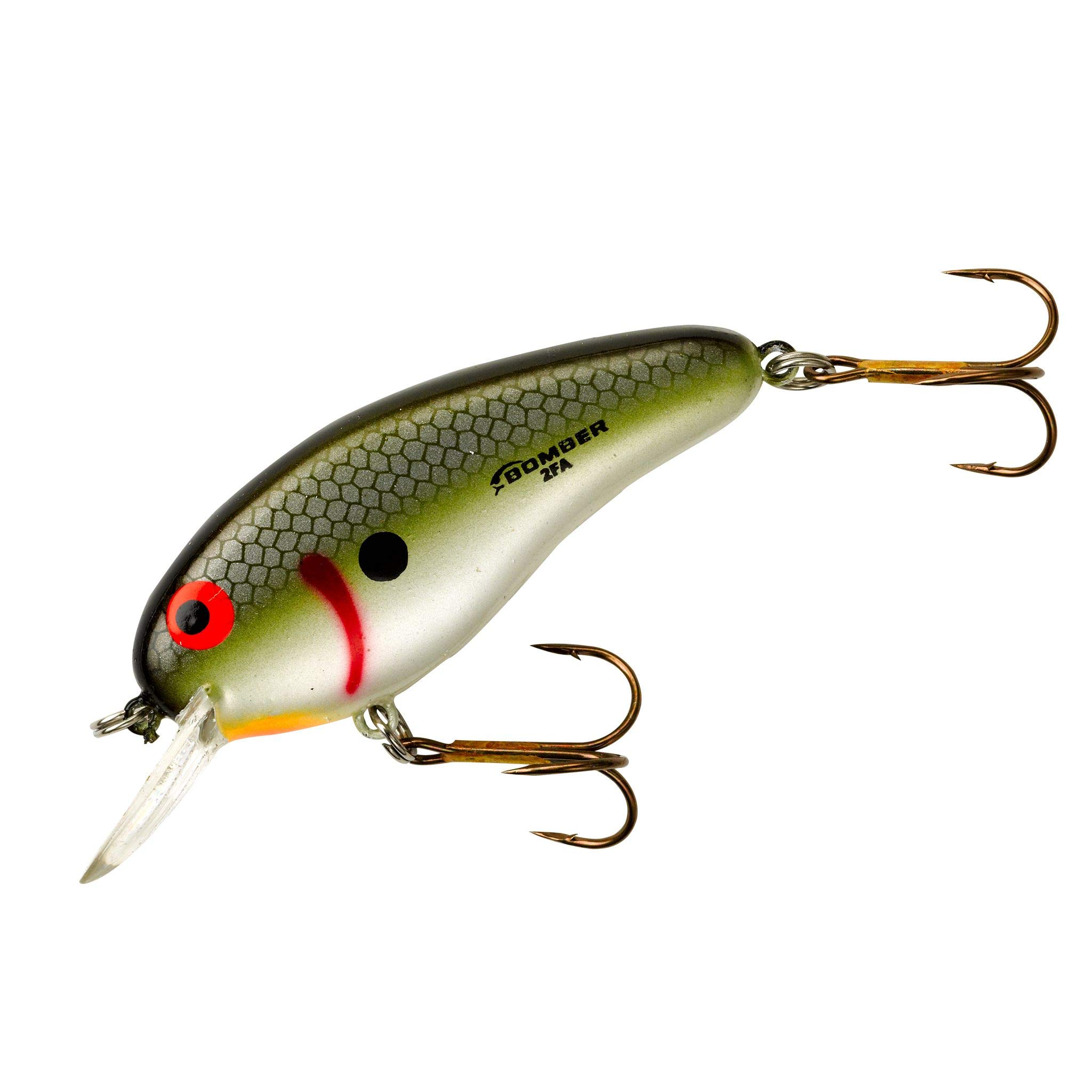 Bomber Lures Deep Flat A Crankbait Fishing Lure, Freshwater Fishing Gear and Accessories 2 1/2", 3/8 oz, Tennesee Shad, (B02DFATS)