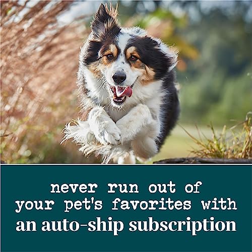 EverRoot Dog Heart Supplements Heart Health Chewable Tablets with Taurine and Green-Lipped Mussels - 4.02 oz. Canister
