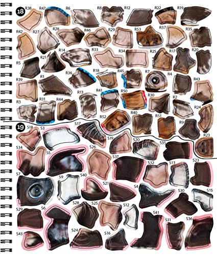 Brain Games - Sticker by Number: Dog-Gone It (28 Images to Sticker)