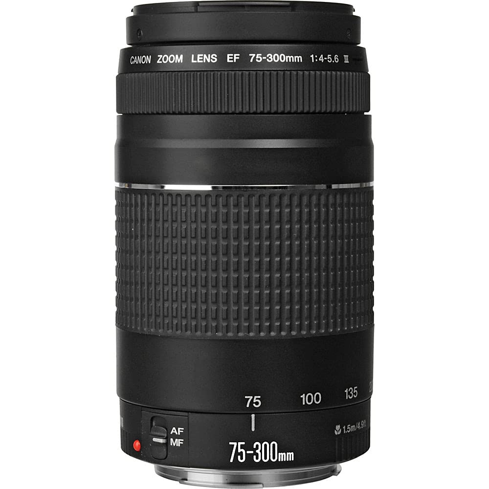 Camera Bundle for Canon EOS R10 Mirrorless Camera with RF-S 18-45mm f/4.5-6.3 is STM, EF 75-300mm f/4-5.6 III Lens, EF-EOS R Lens Adapter + Extra Battery, Pro Microphone + Accessories Kit (Renewed)