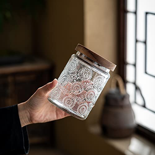 HolaJia Glass Jar with Lid β 24 oz Glass Storage Containers β Premium Jars with Airtight Lids for Coffee, Rice, Sugar β Decorative Cookie Jars for Kitchen Counter, Pantry(Fireworks)
