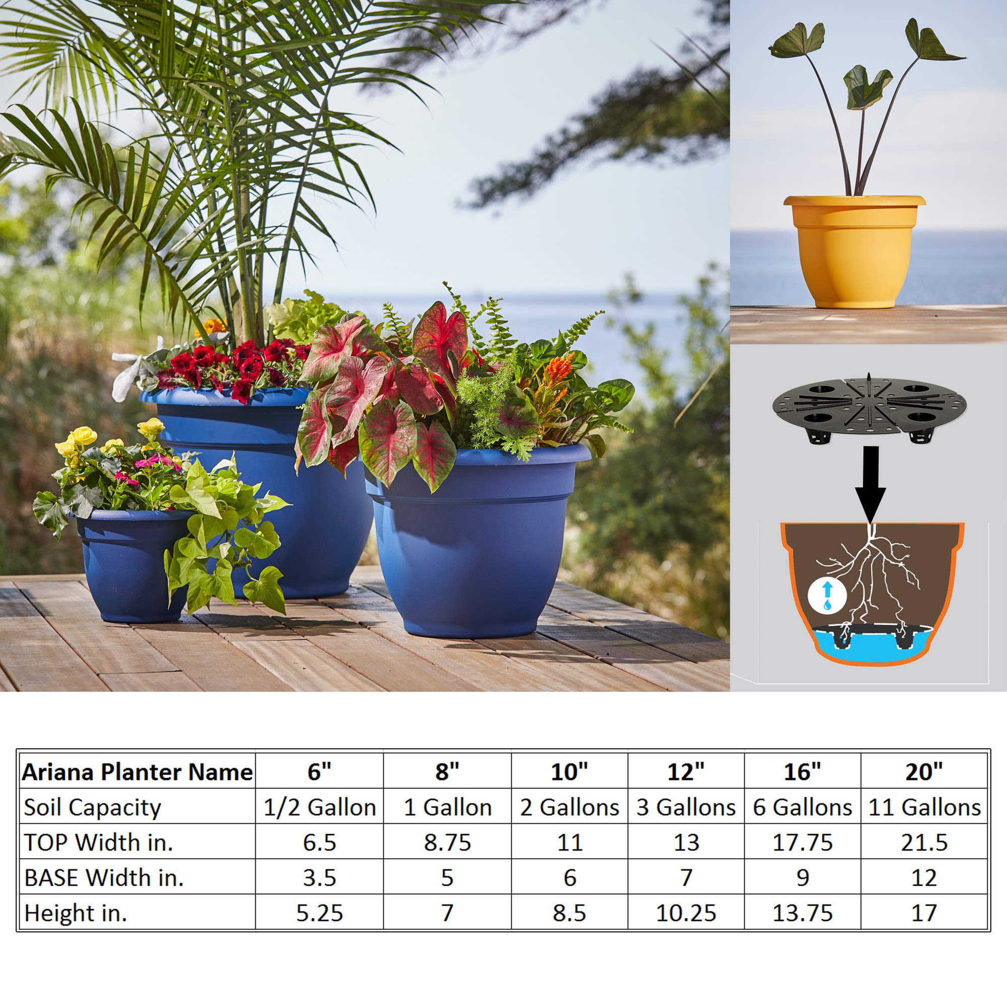 Bloem Ariana Self Watering Planter 8" Classic Blue (AP0833)