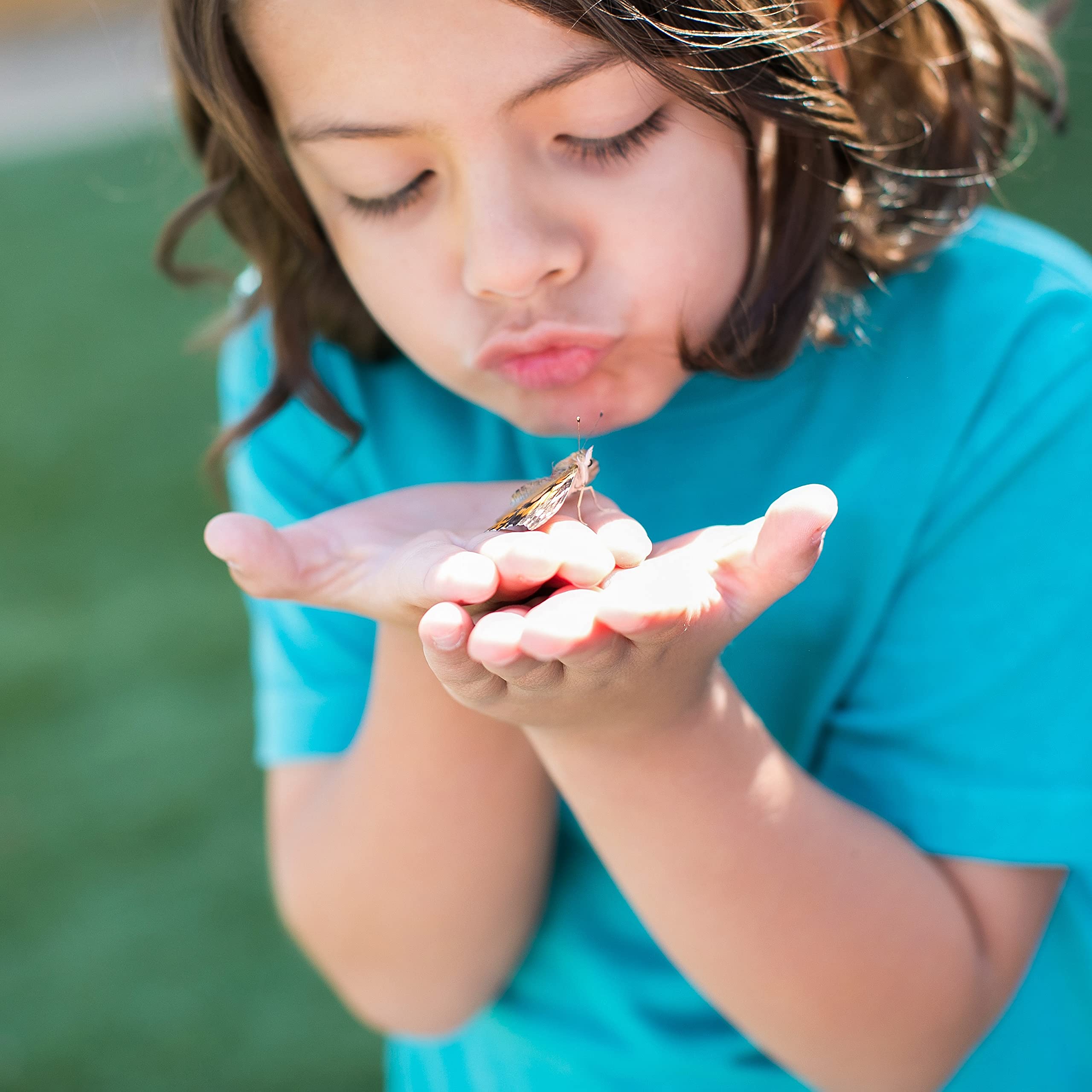 Butterfly Garden: Home School Habitat and Two Live Cups of Caterpillars - with Deluxe Butterfly Feeder - Includes Both English and Spanish Butterfly STEM Activity Journals