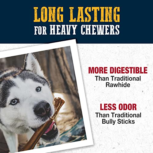 Cadet Bully Hide Sticks for Small, Medium and Large Dogs β All-Natural Beef Pizzle, High Protein, Low Fat, Long-Lasting, Grain & Rawhide-Free Dog Chews for Aggressive Chewers, Large (7 Count)