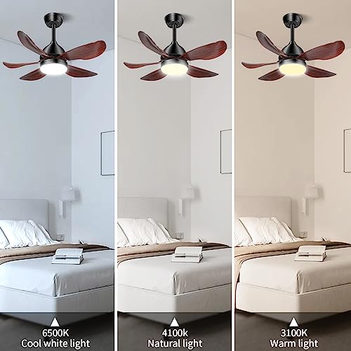CAIROCK Ceiling Fans with Lights Remote and App Control, 27¡± Modern Ceiling Fan for Living Room Bedroom Kitchen Dining Room, Adjustable Color Temperature, Black…